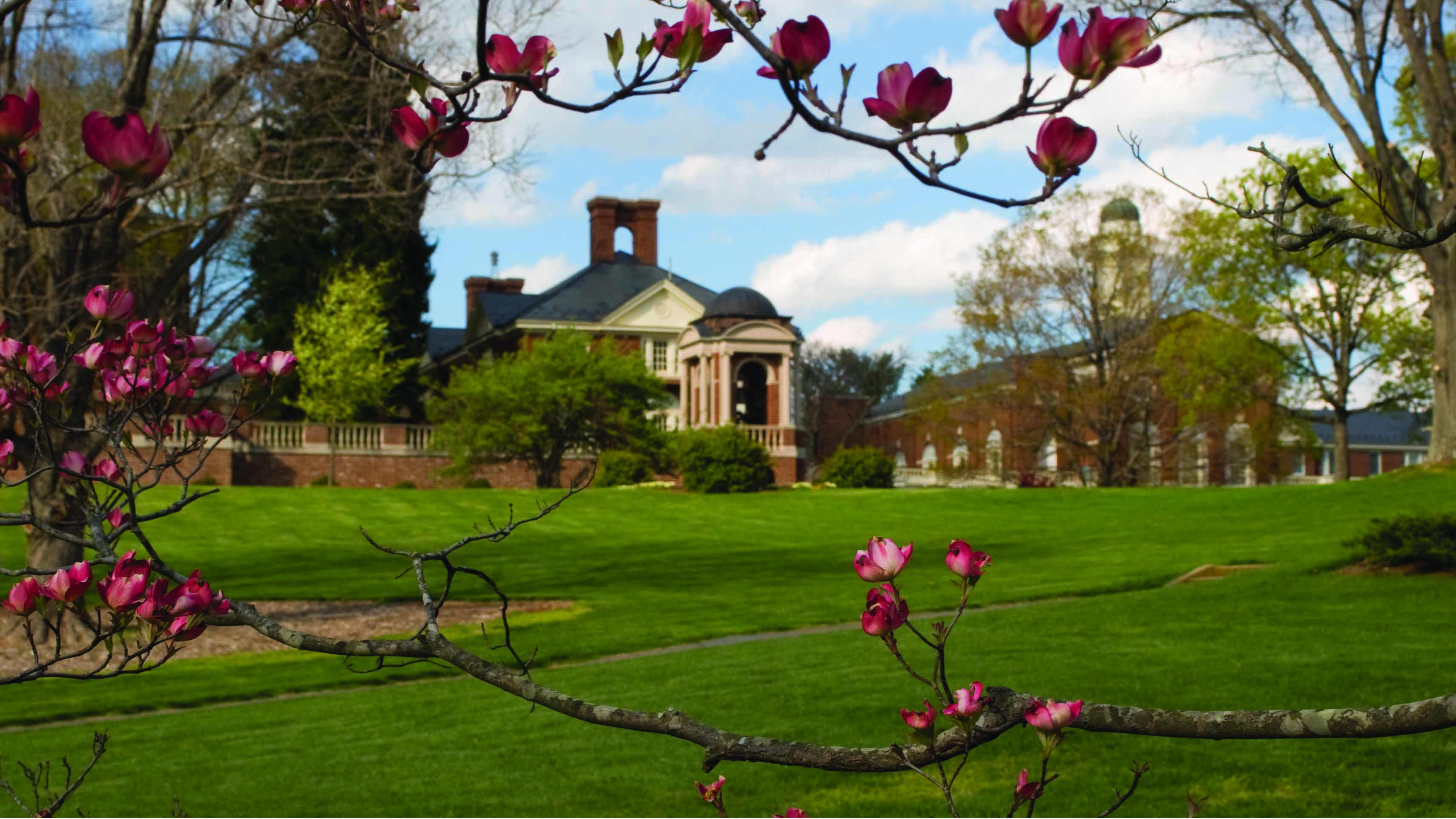 Best Alumni Directory Platform