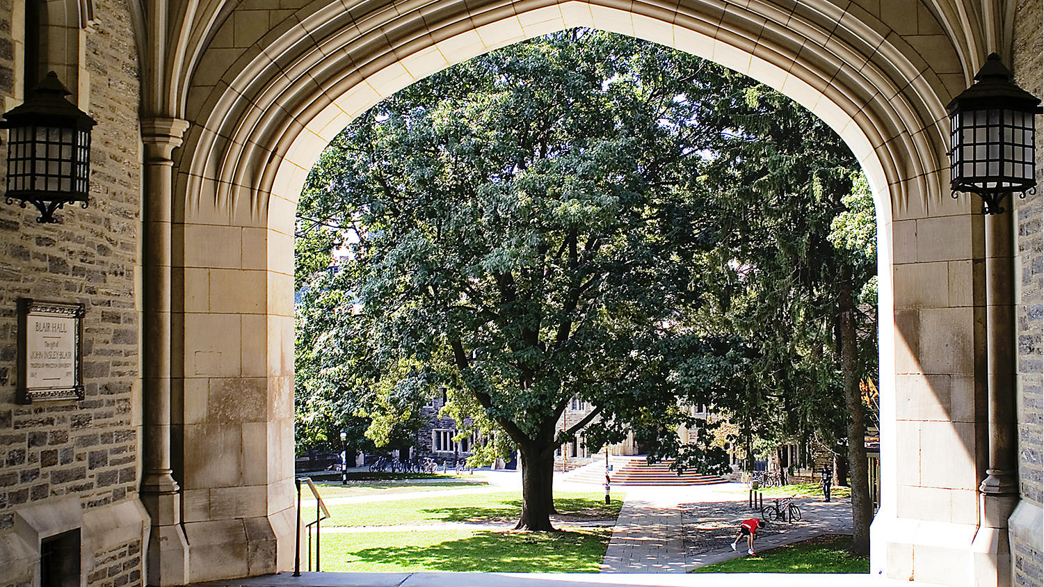 The Princeton alumni network on Alumnifire | Alumnifire for Princeton