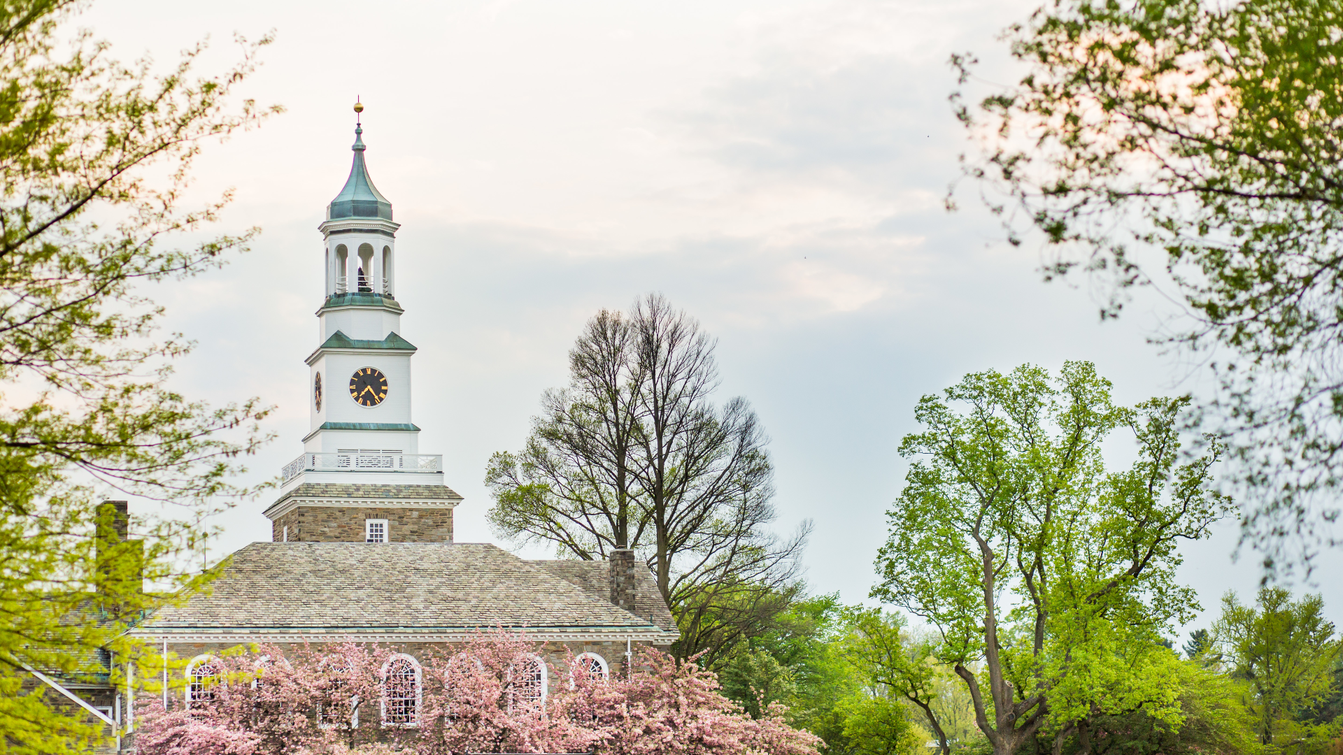 Best Alumni Directory Platform