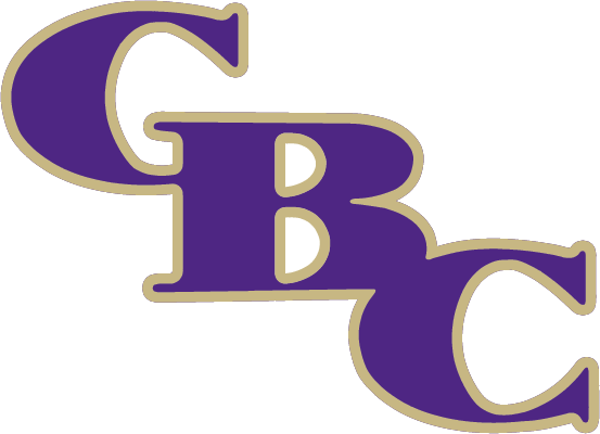 Best Alumni Directory Platform